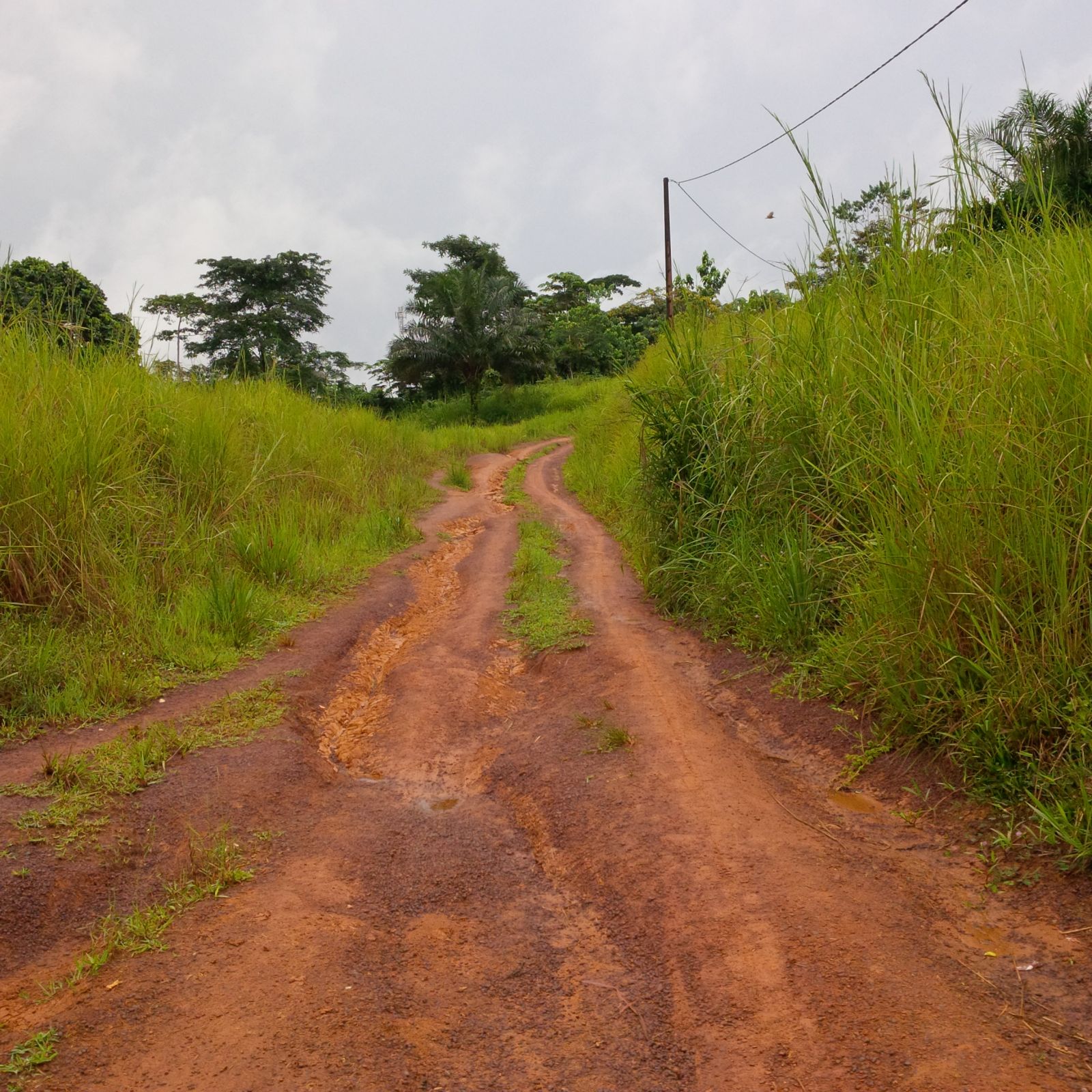 Malinga : Entre l’antiquité et modernisme (Reportage de Sydney Ivembi)