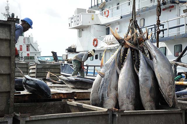 Pêche : 500 nouveaux emplois annoncés pour dynamiser le secteur
