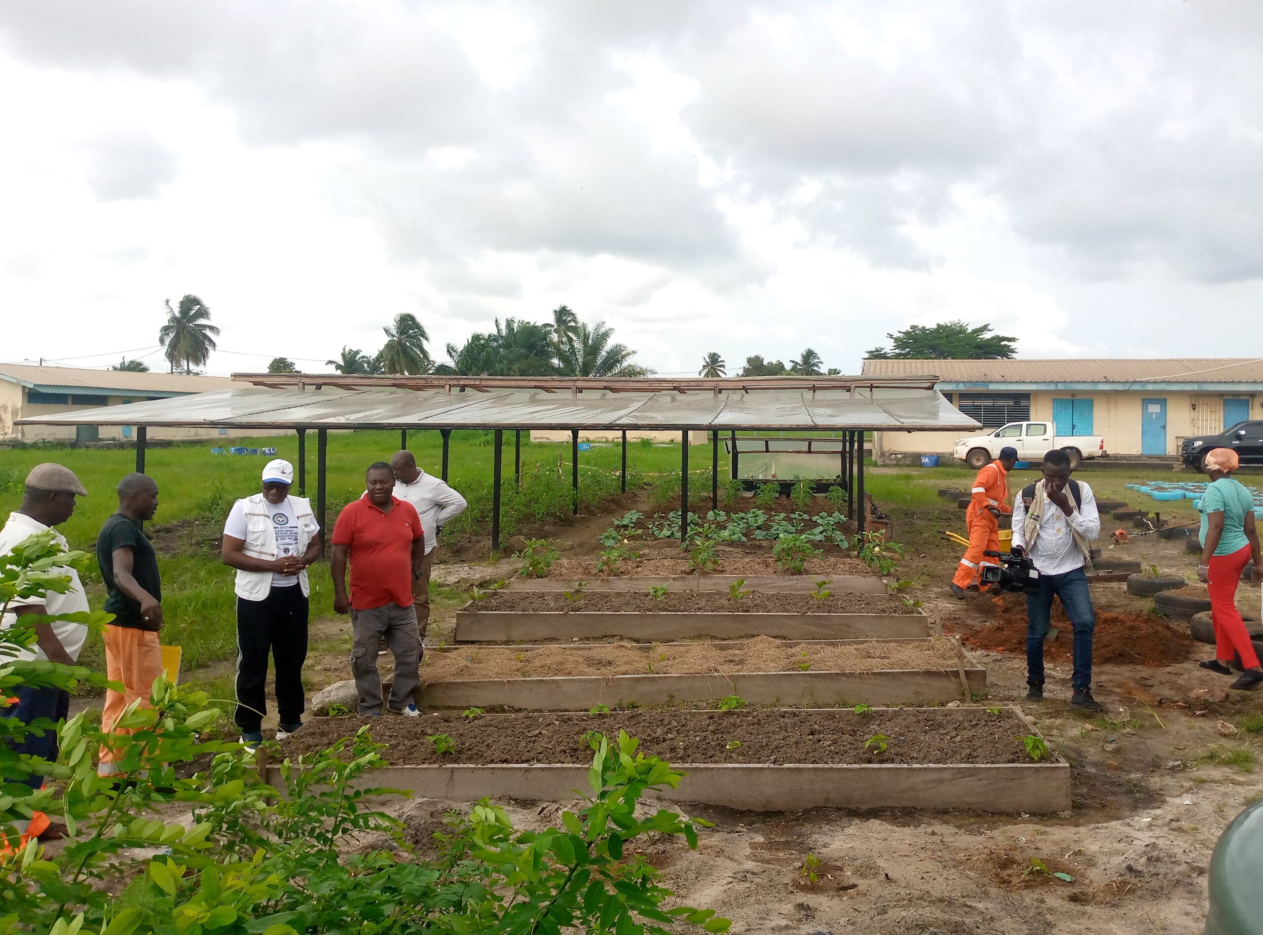 La coopérative agricole Mandji culture peine à réaliser ses rêves