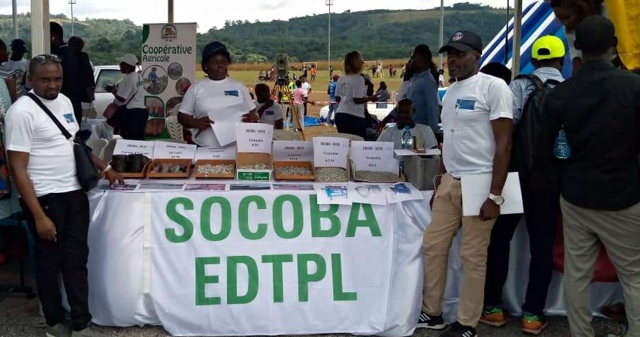 SOCOBA : un ancien agent retourne son couteau contre son ancien employeur