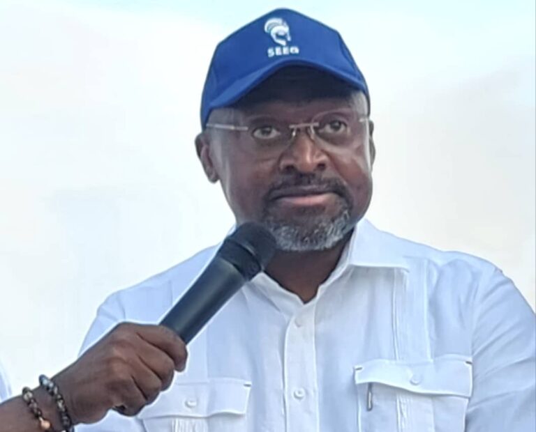 SEEG : L’identité du nouveau ‘’Directeur général’’ dévoilé ce samedi
