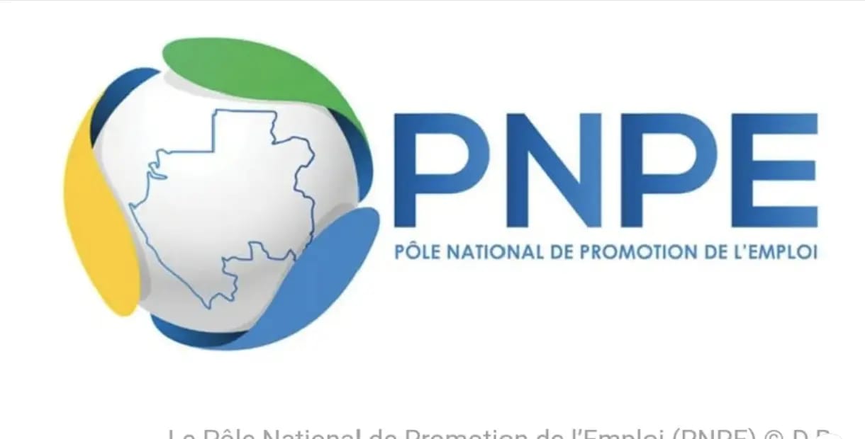 Génie minier, informatique, environnement : le PNPE lance un appel à ...