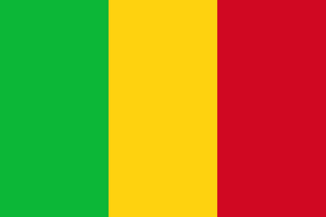 Mali – 65 ans d’indépendance : la diaspora au Gabon porte haut les ...