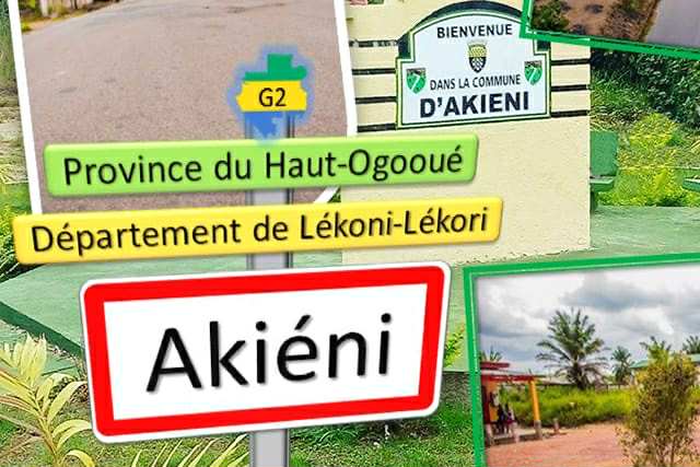 Couacs aux législatives et locales 2025 : Lékoni-Lékori en attente du ...