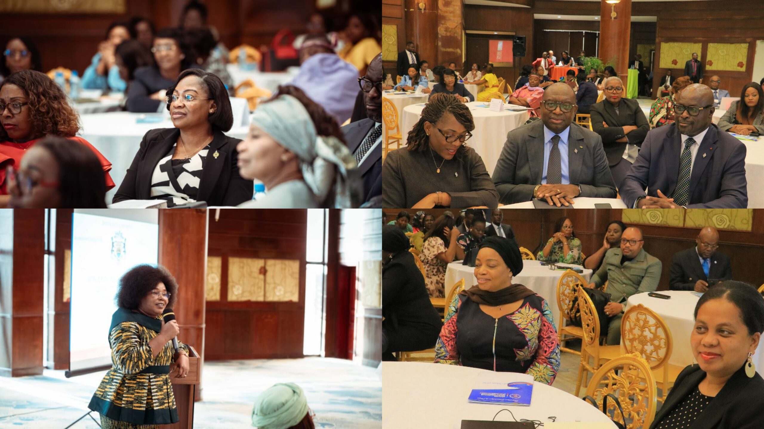 Femmes parlementaires : vers un renforcement du leadership et de l ...