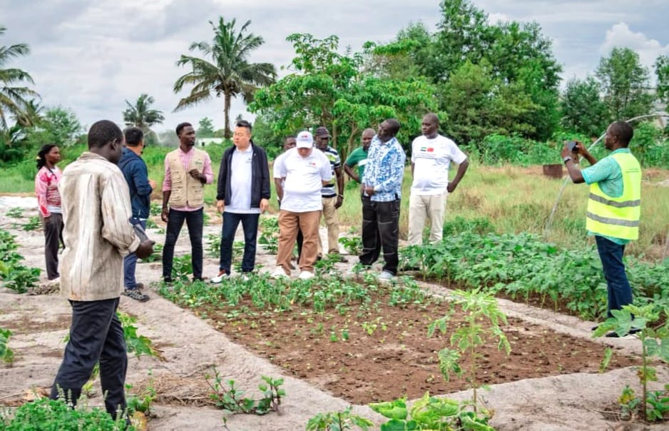 Agro-industrie : des investisseurs chinois explorent le potentiel de l ...